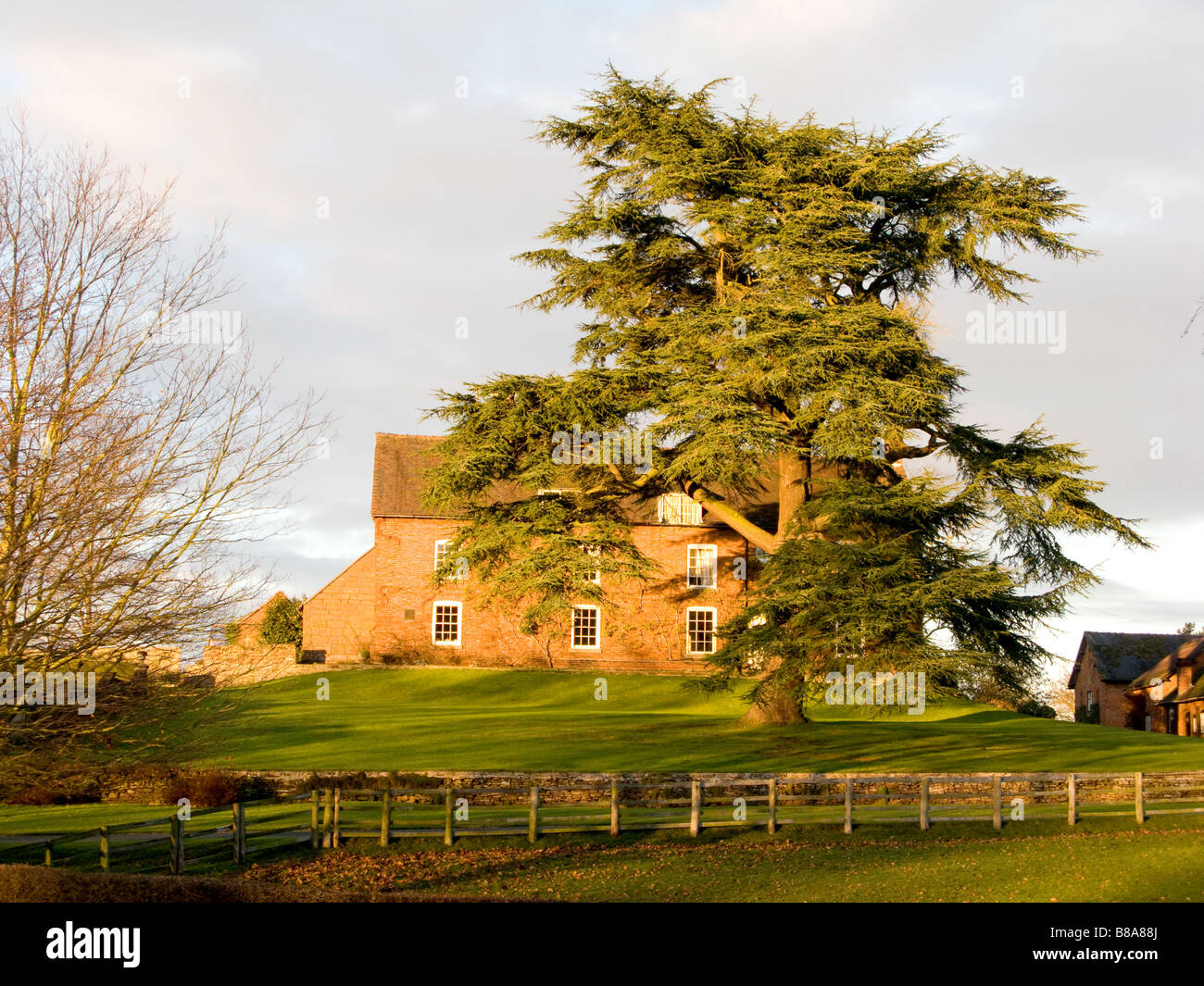 Conifer house hi-res stock photography and images - Alamy