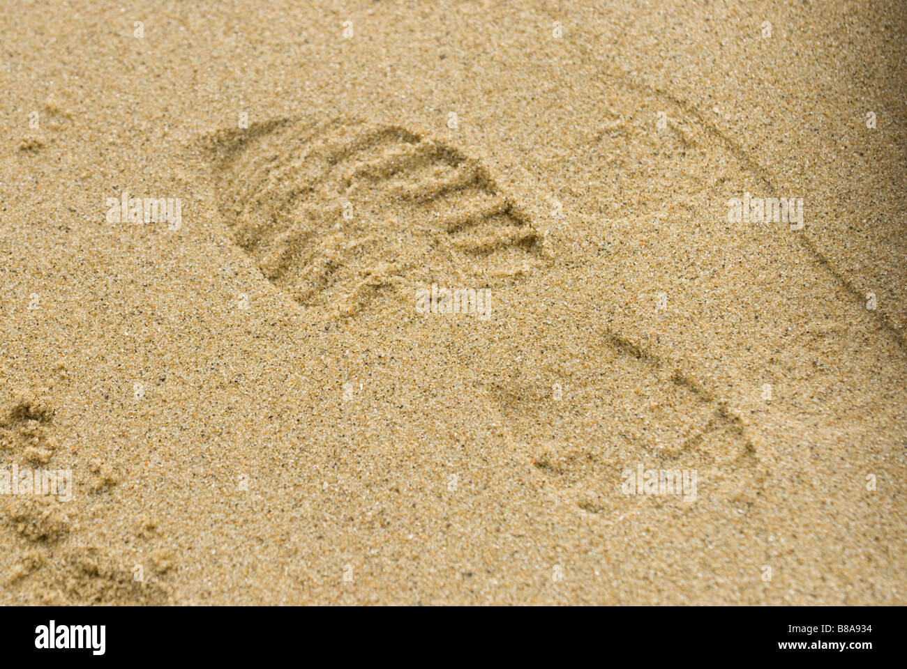 footprints in sand Stock Photo - Alamy