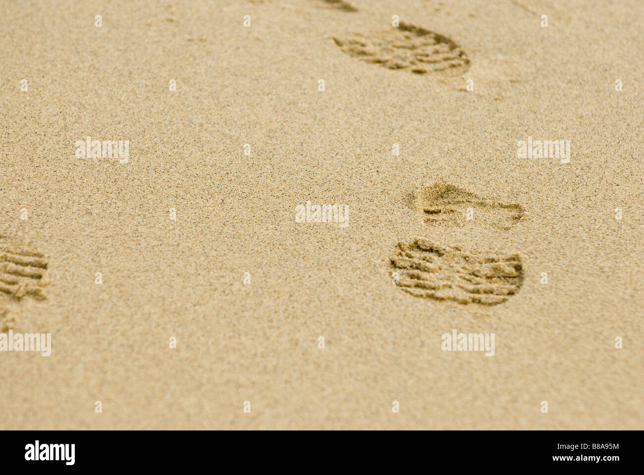footprints in sand Stock Photo - Alamy