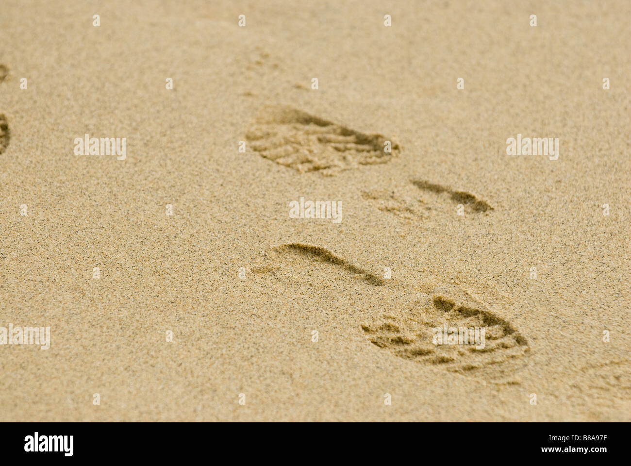 footprints in sand Stock Photo - Alamy