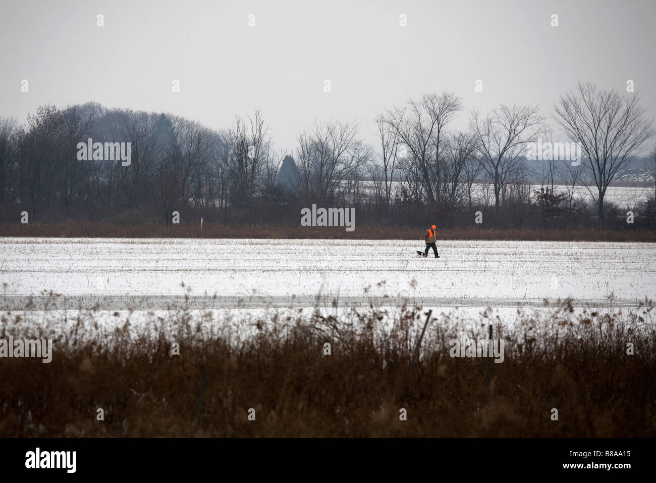 Man walking his dog in rural Pennsylvania Stock Photo - Alamy