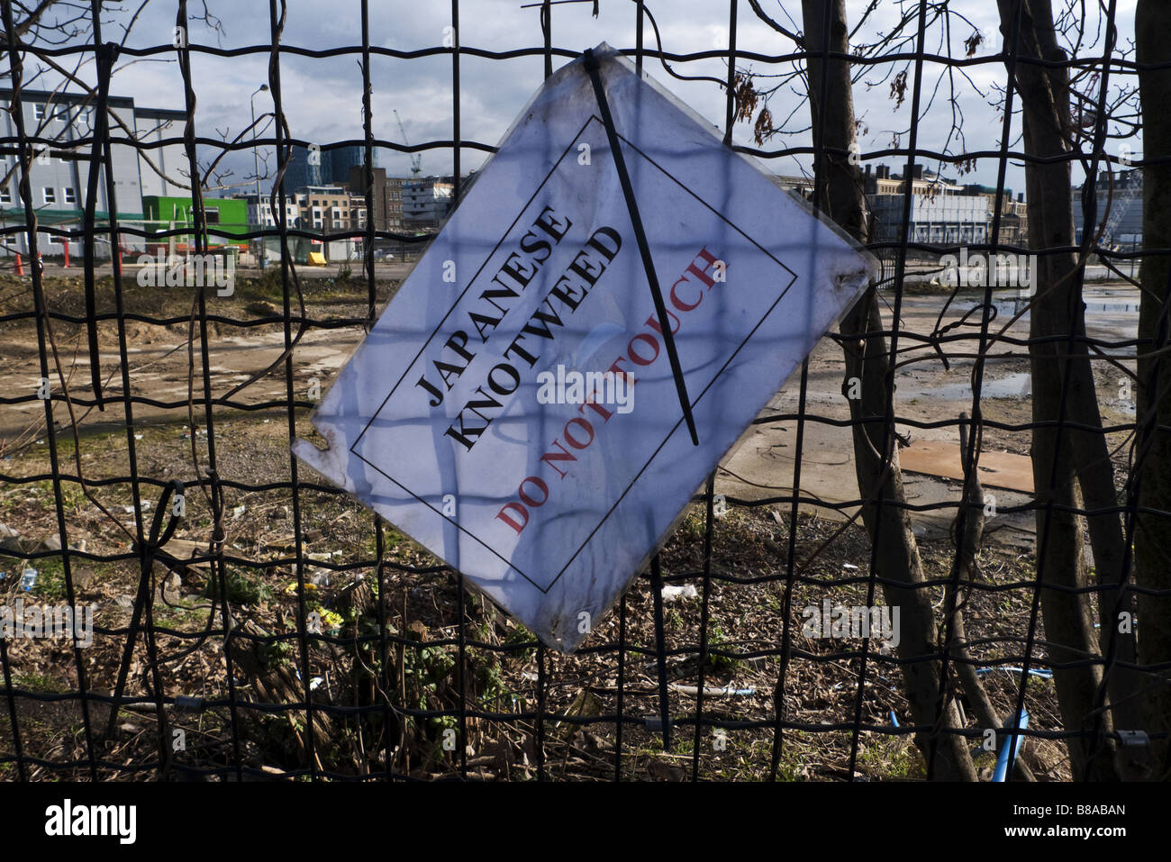 Japanese Knotweed Sign Stock Photo - Alamy