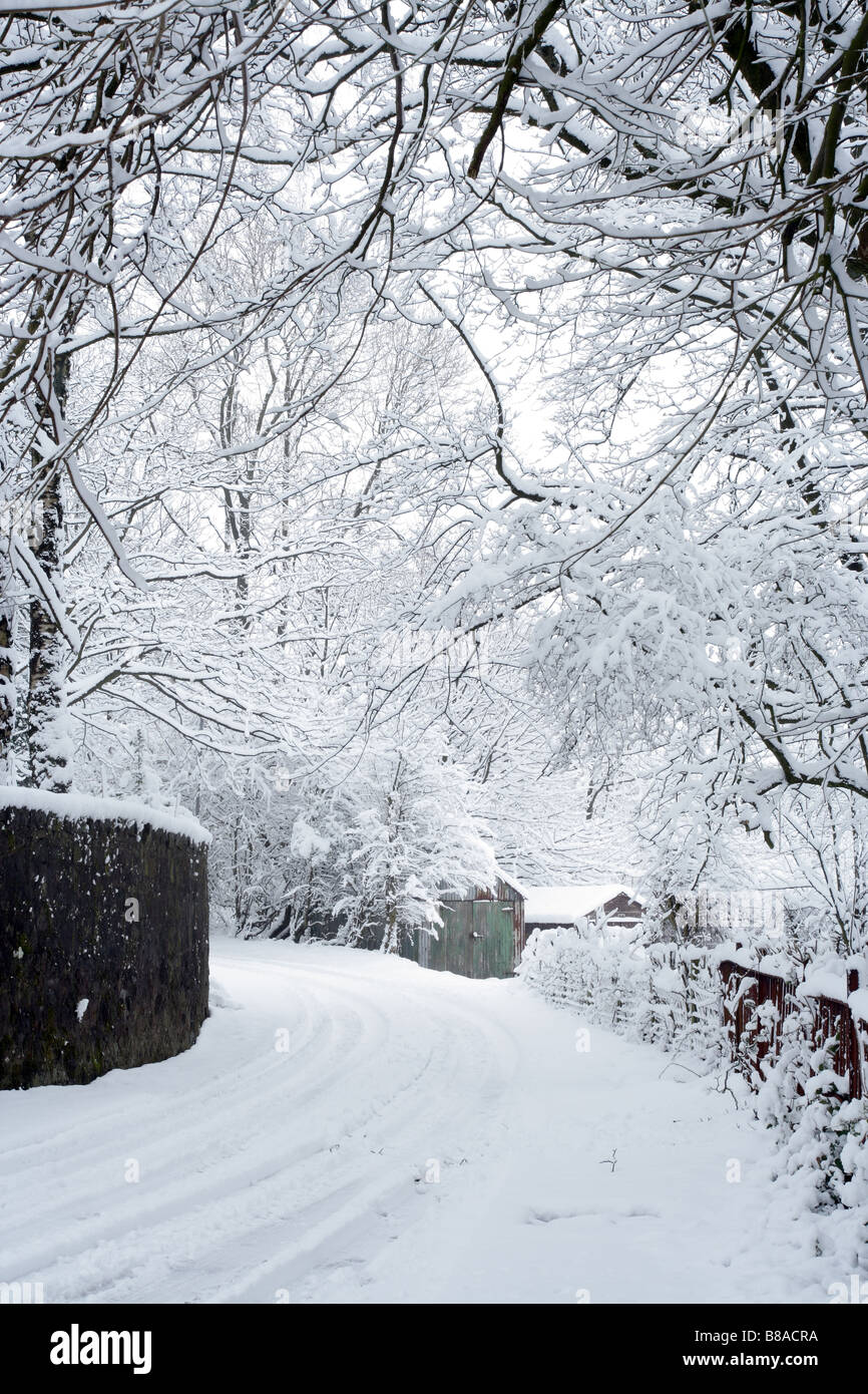 Covered in snow garage trees hi-res stock photography and images - Alamy