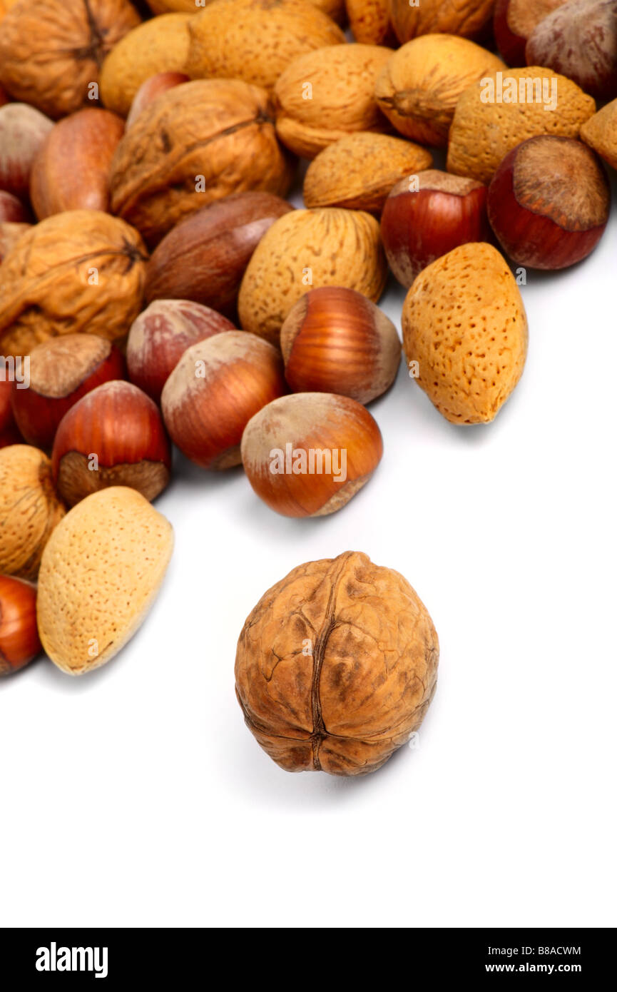 Miscellaneous shell hi-res stock photography and images - Alamy