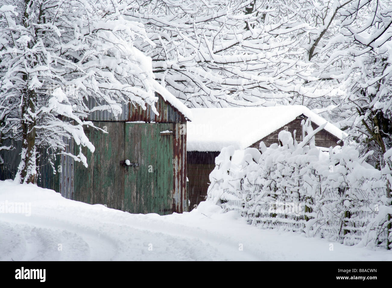 Country lane overhanging tree hi-res stock photography and images - Alamy
