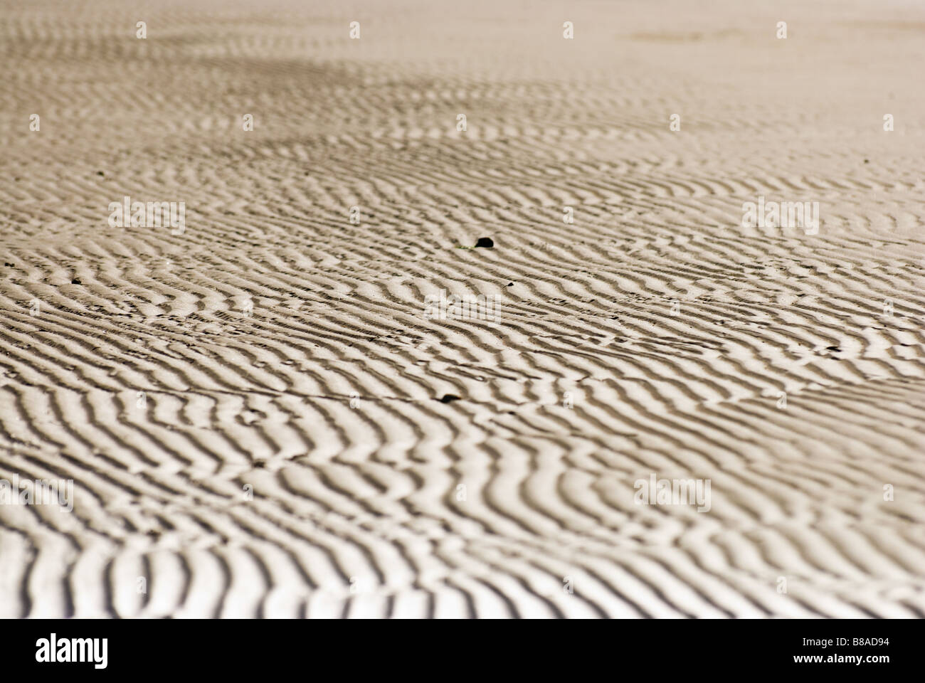 Wrinkled wet sand at low tide on UK beach Stock Photo - Alamy