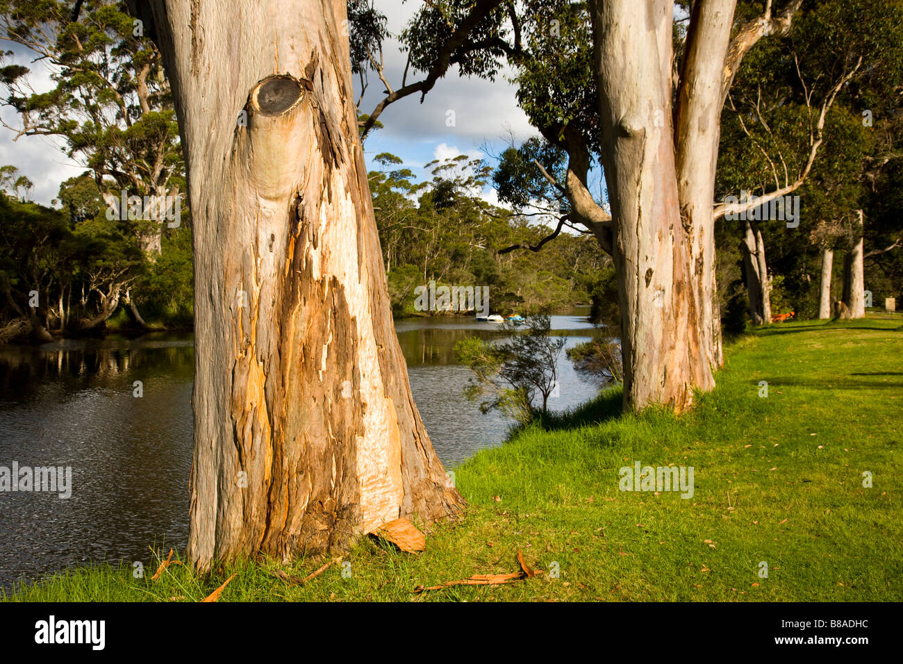 River Denmark Western Australia Stock Photo - Alamy