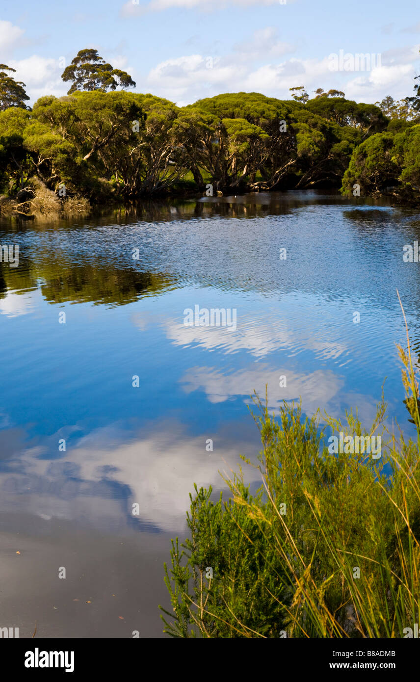 River Denmark Western Australia Stock Photo - Alamy