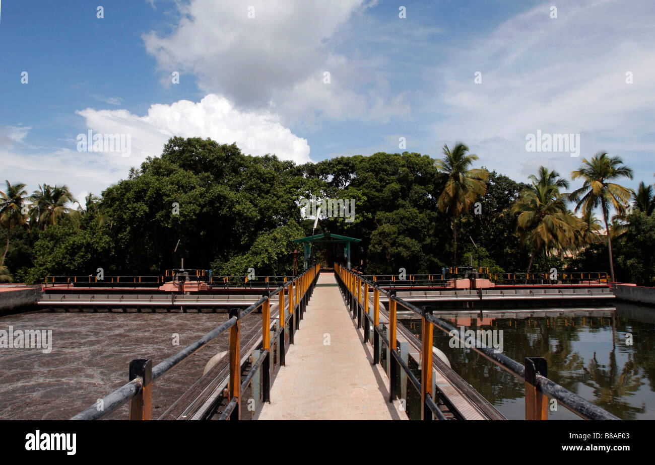 Sewage india hi-res stock photography and images - Alamy