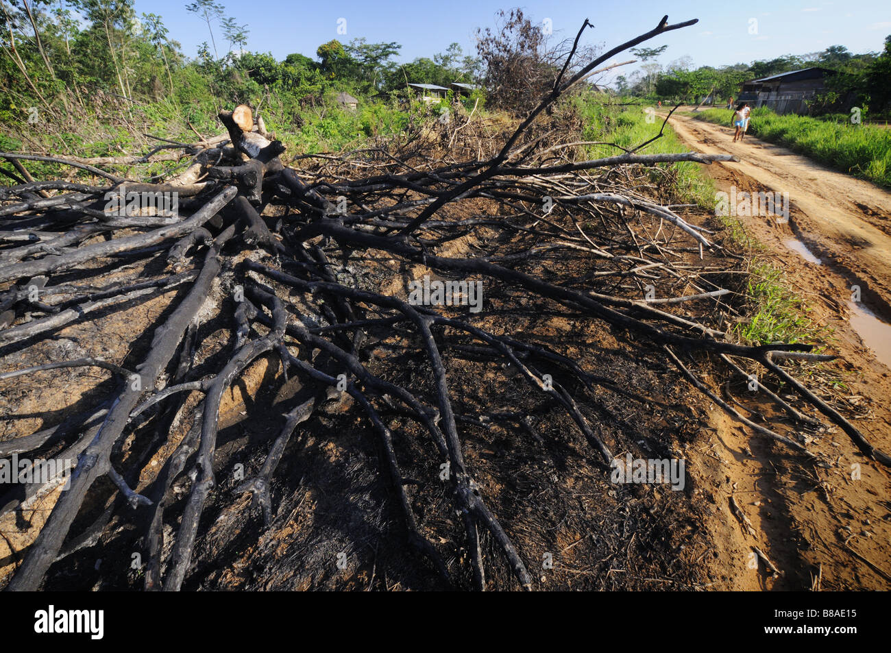 Deforestation in the Peruvian Amazon Stock Photo - Alamy