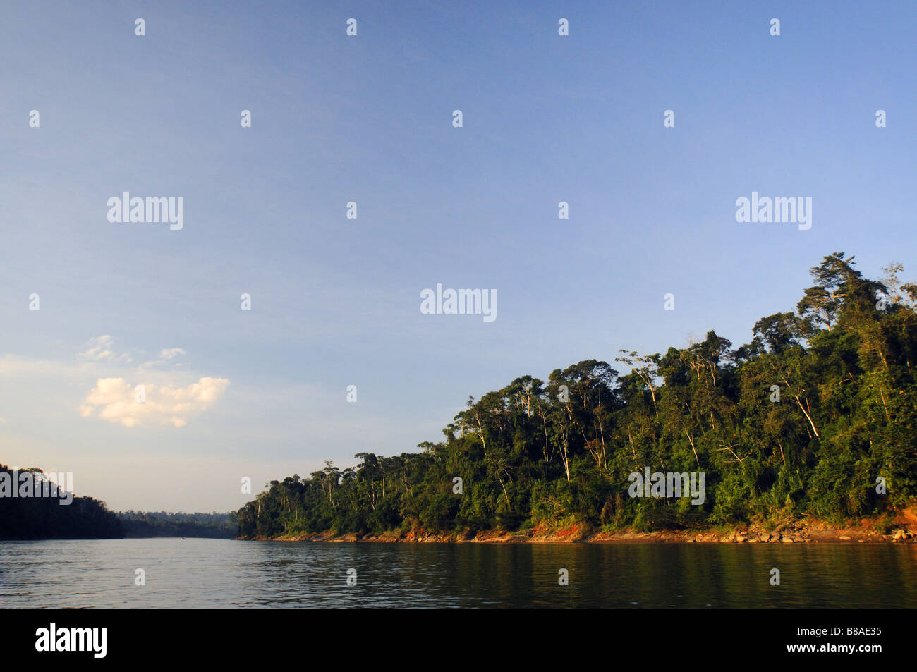 A river in Peruvian Amazonia Stock Photo - Alamy