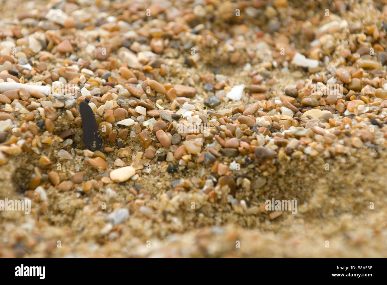 Sand detail hi-res stock photography and images - Alamy