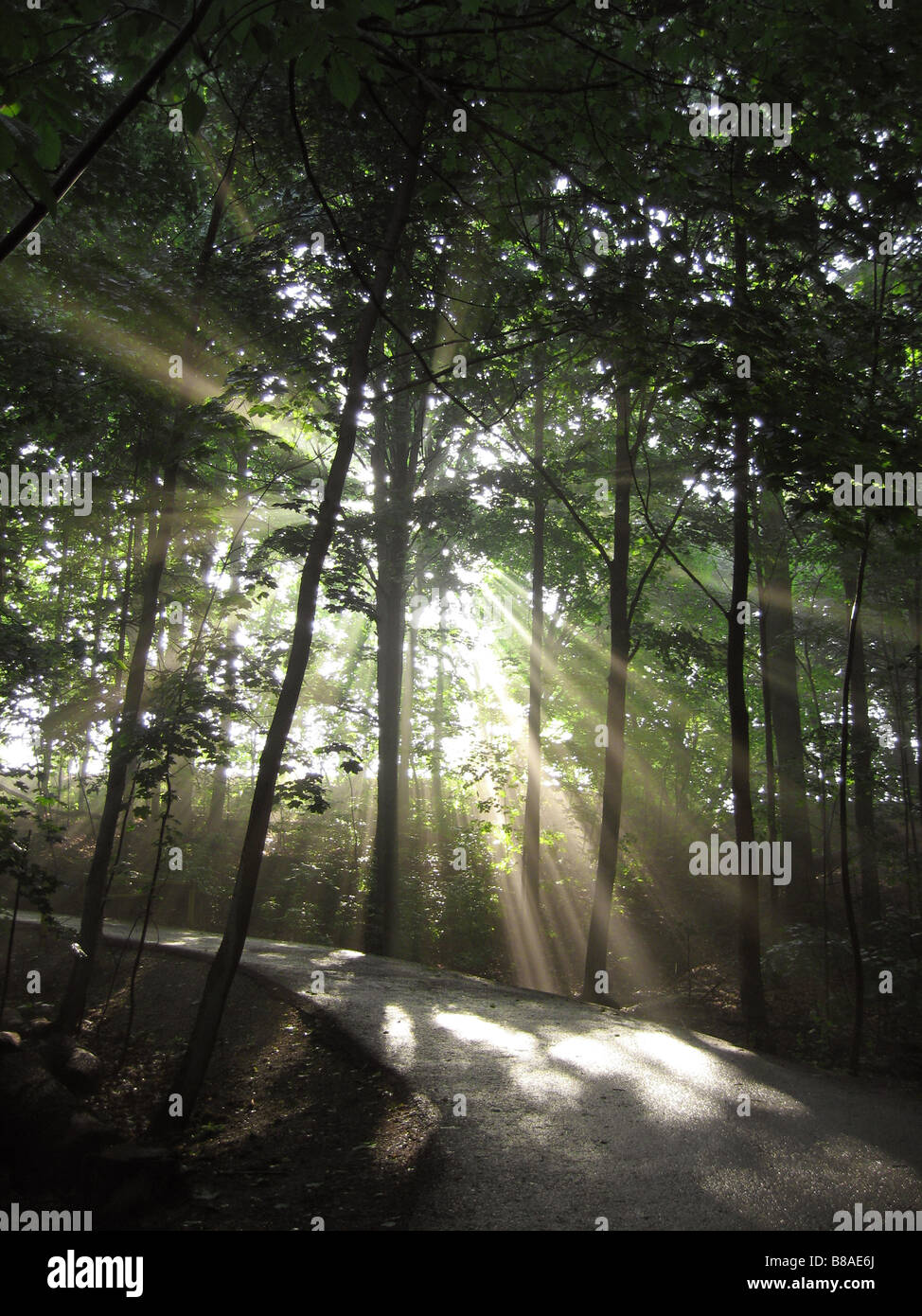 Rays beams hi-res stock photography and images - Alamy