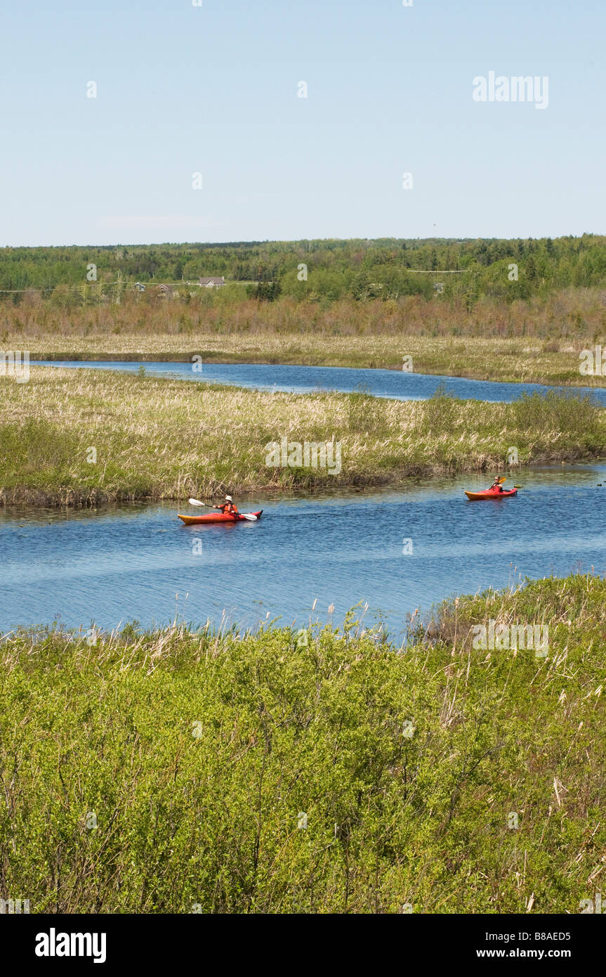 The marsh of the Riviere aux Cerises in Memphremagog Eastern Townships ...