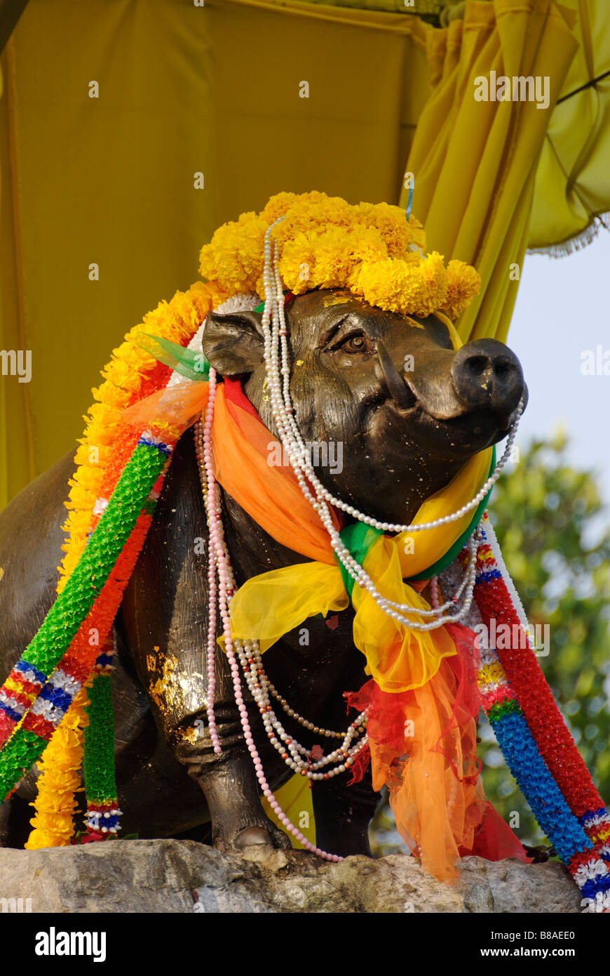 Thailand pig shrine hi-res stock photography and images - Alamy