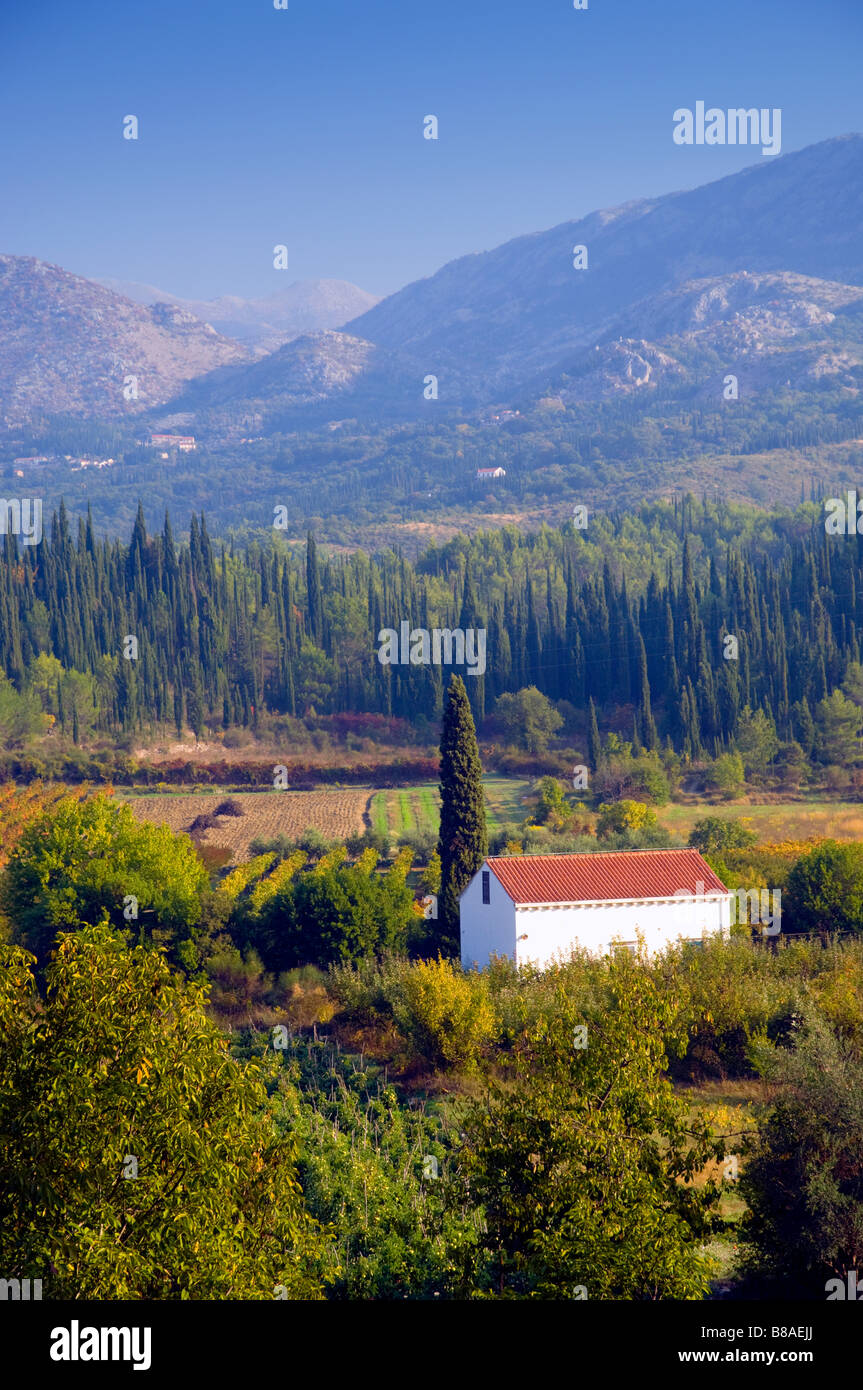 Vineyards and fall foliage in rural Montenegro near the Kotor Lakes ...