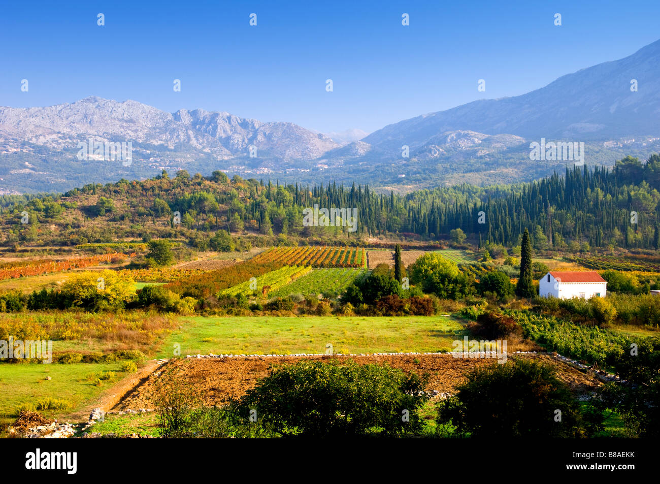Vineyards and fall foliage in rural Montenegro near the Kotor Lakes ...