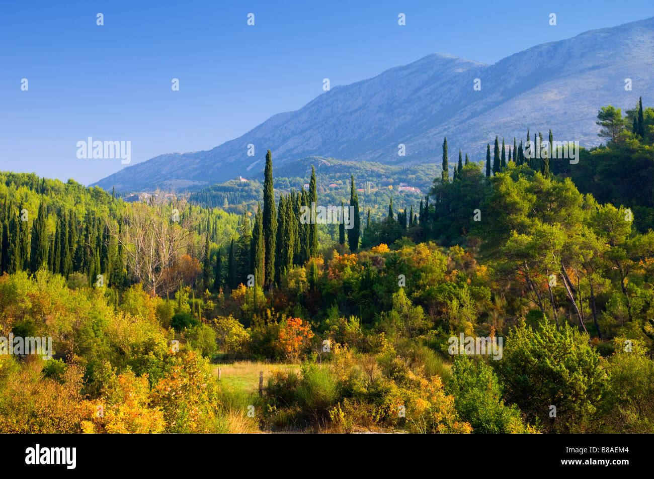 Vineyards and fall foliage in rural Montenegro near the Kotor Lakes ...