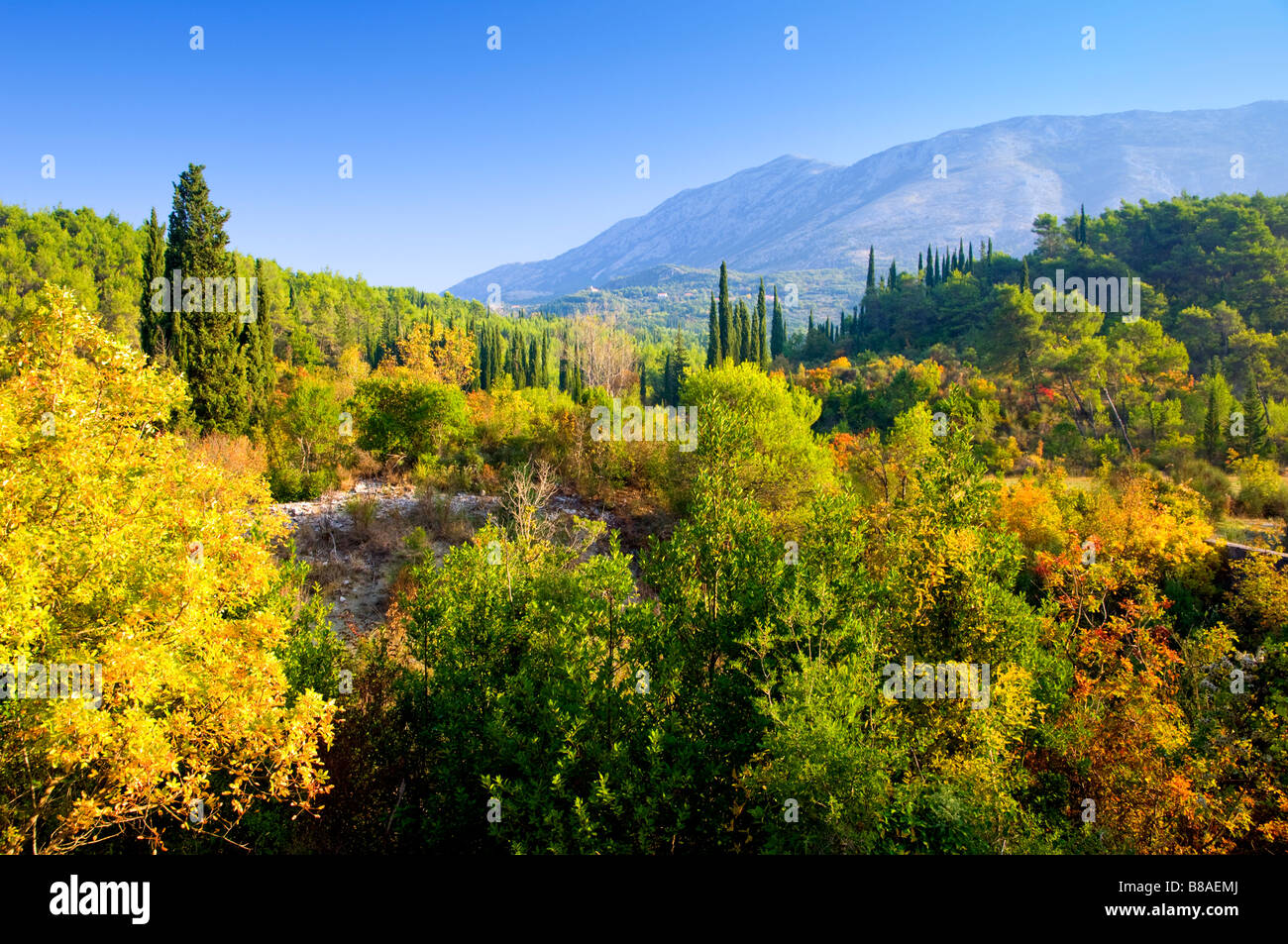 Vineyards and fall foliage in rural Montenegro near the Kotor Lakes ...