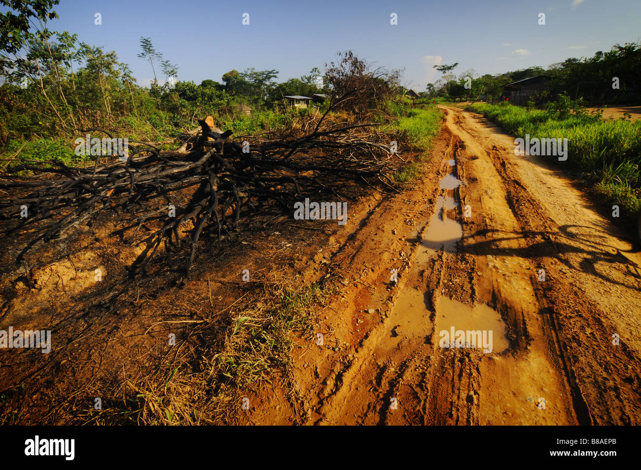 Deforestation in the Peruvian Amazon Stock Photo - Alamy