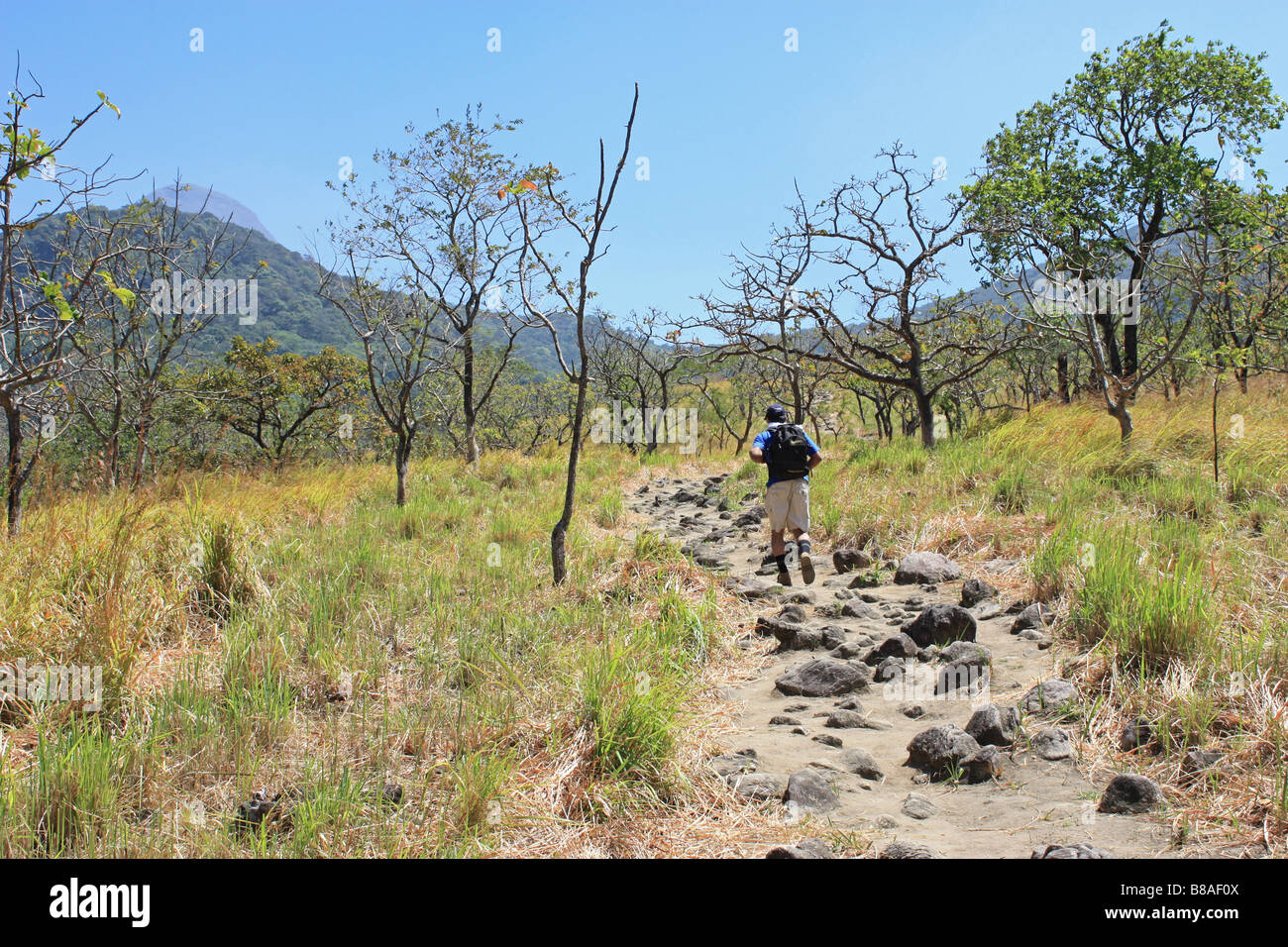 Trekking through the Pulmedu, Agasthyarkoodam Stock Photo - Alamy