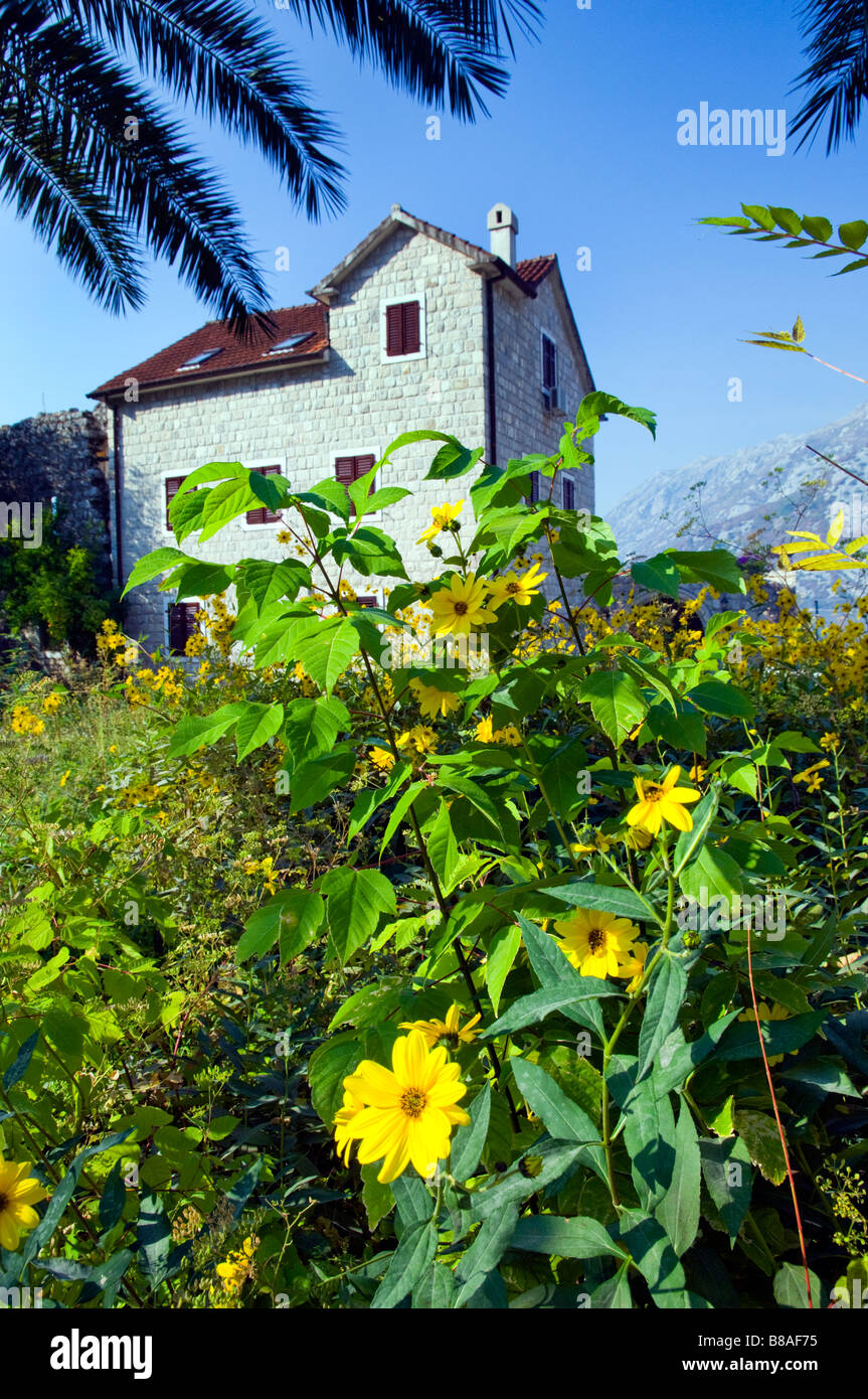 Kotor Lakes scenic in Montenegro Stock Photo - Alamy