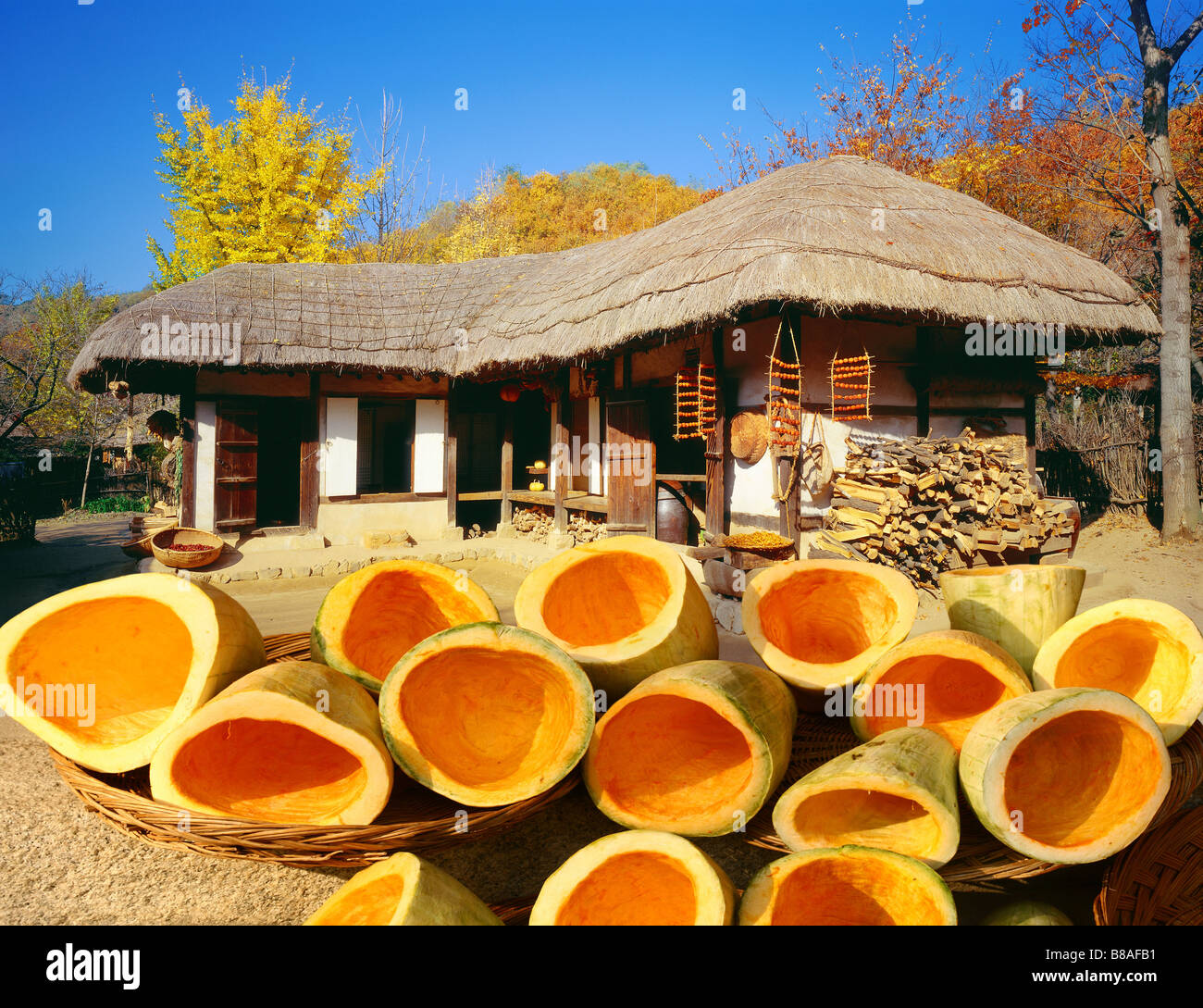 Pumpkins pumpkin cottage house hi-res stock photography and images - Alamy