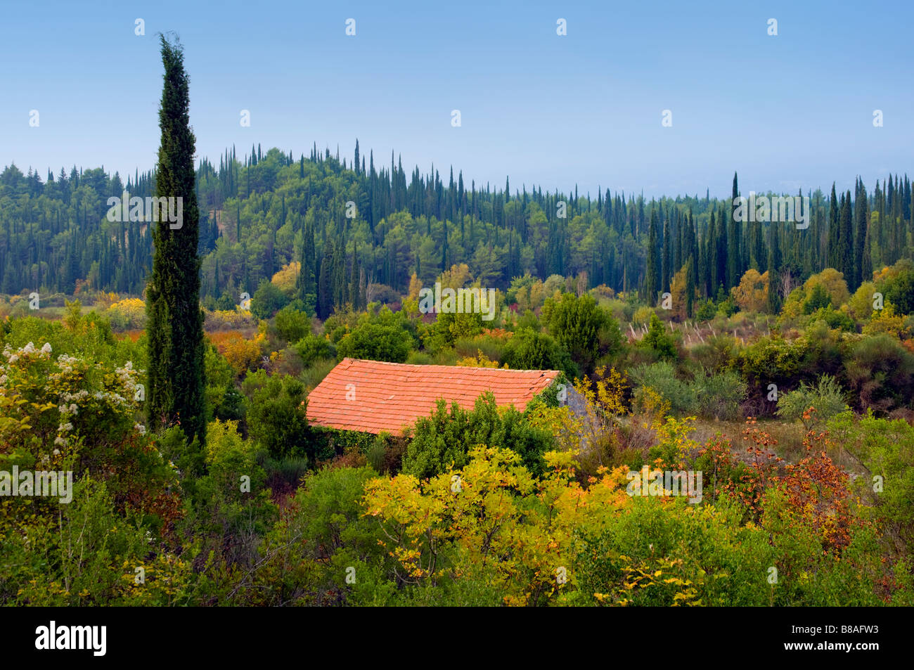 Vineyards and fall foliage in rural Montenegro near the Kotor Lakes ...