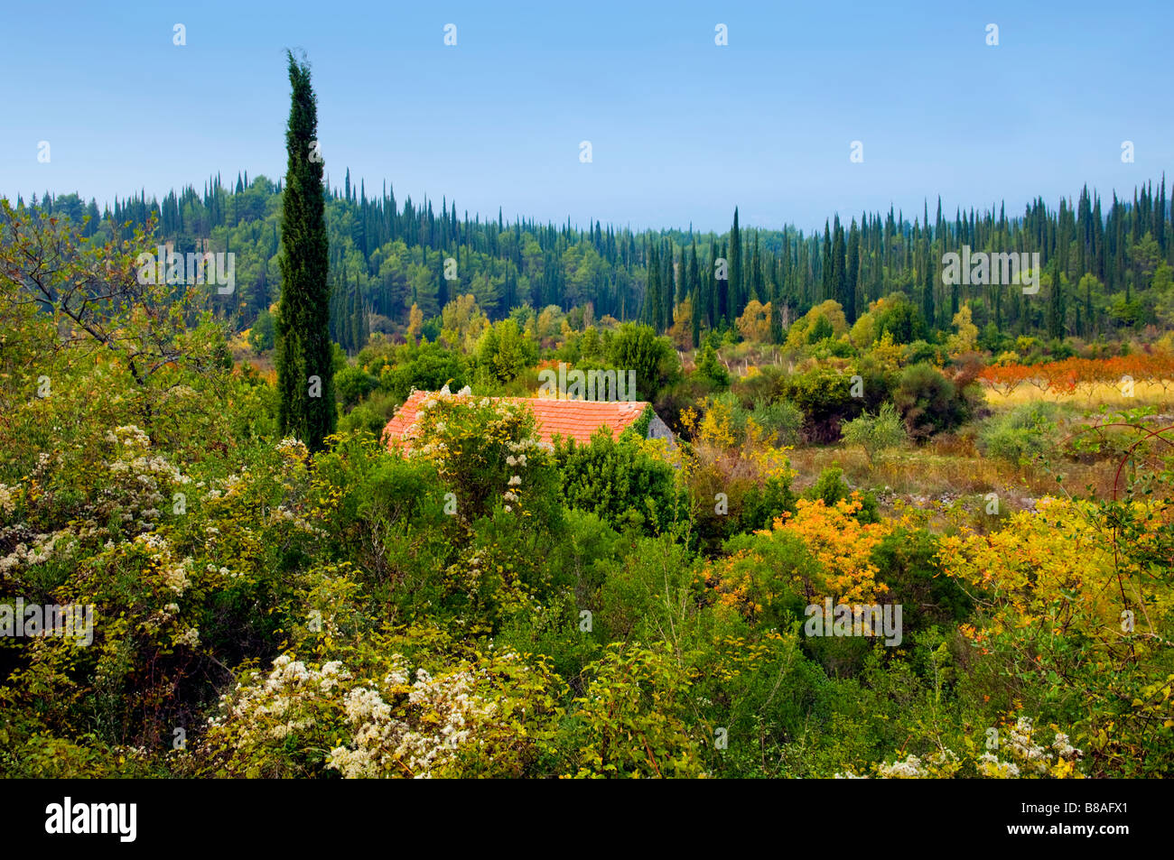 Vineyards and fall foliage in rural Montenegro near the Kotor Lakes ...
