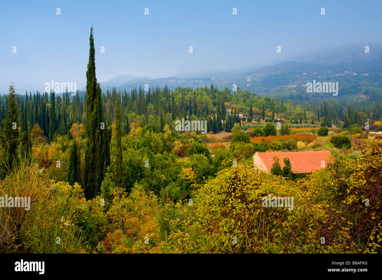 Vineyards and fall foliage in rural Montenegro near the Kotor Lakes ...