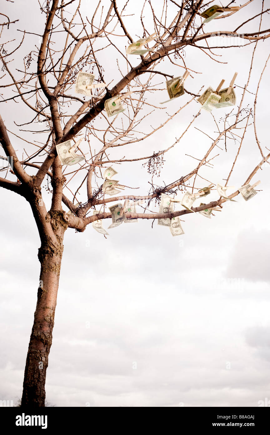 Branches of the economy hi-res stock photography and images - Alamy