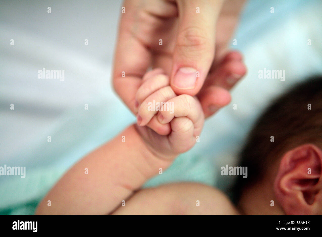 Adult hand holding a new born baby's hand Stock Photo - Alamy