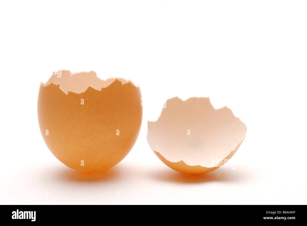 Empty egg shell close up Stock Photo - Alamy