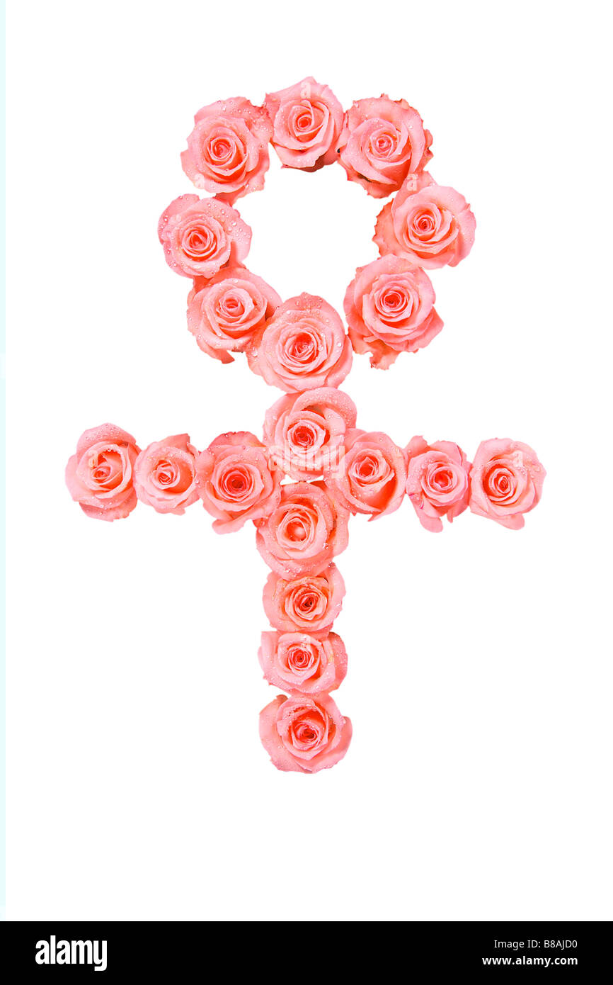 Pink roses in shape of female symbol Stock Photo - Alamy