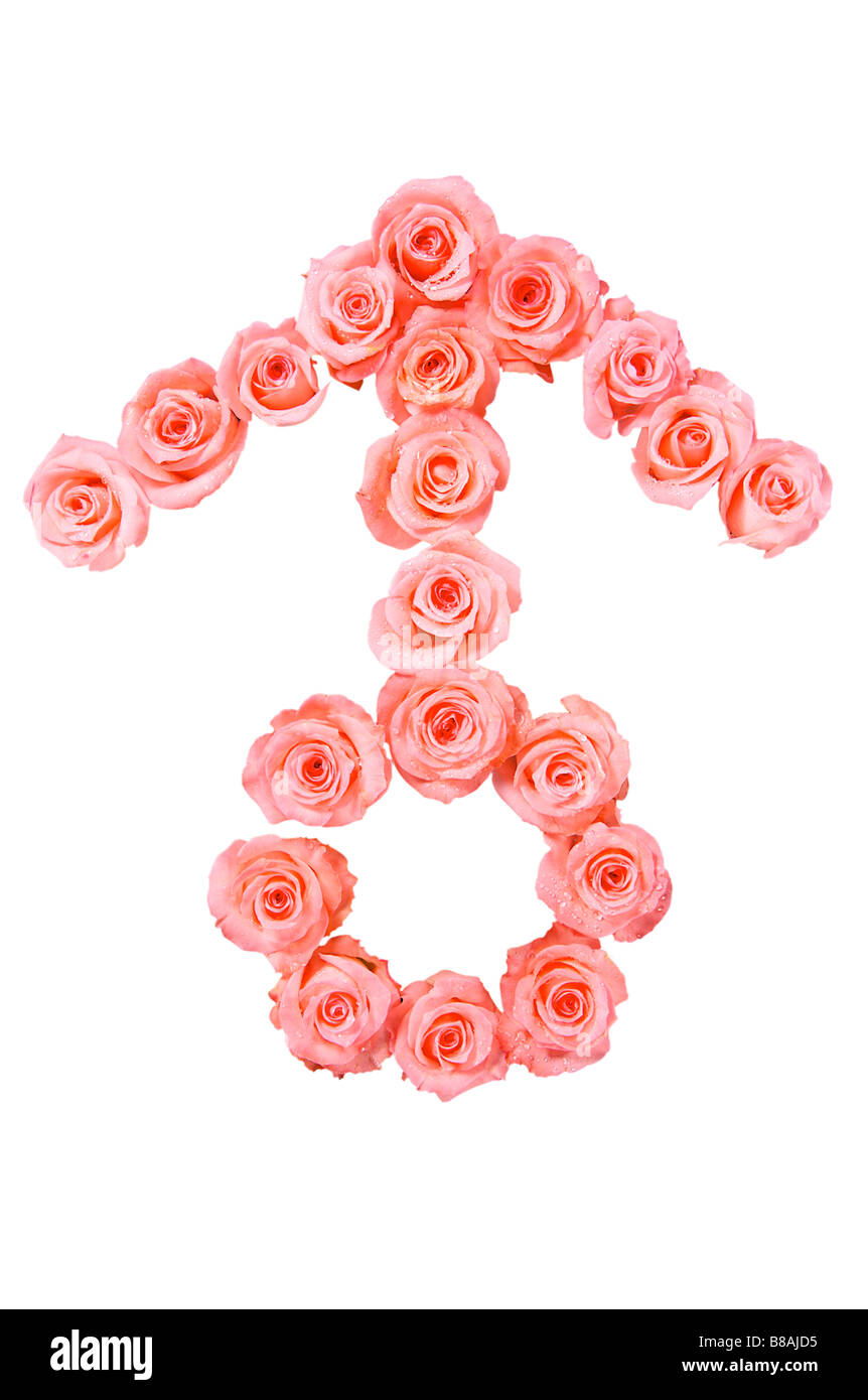 Pink roses in shape of male symbol Stock Photo - Alamy