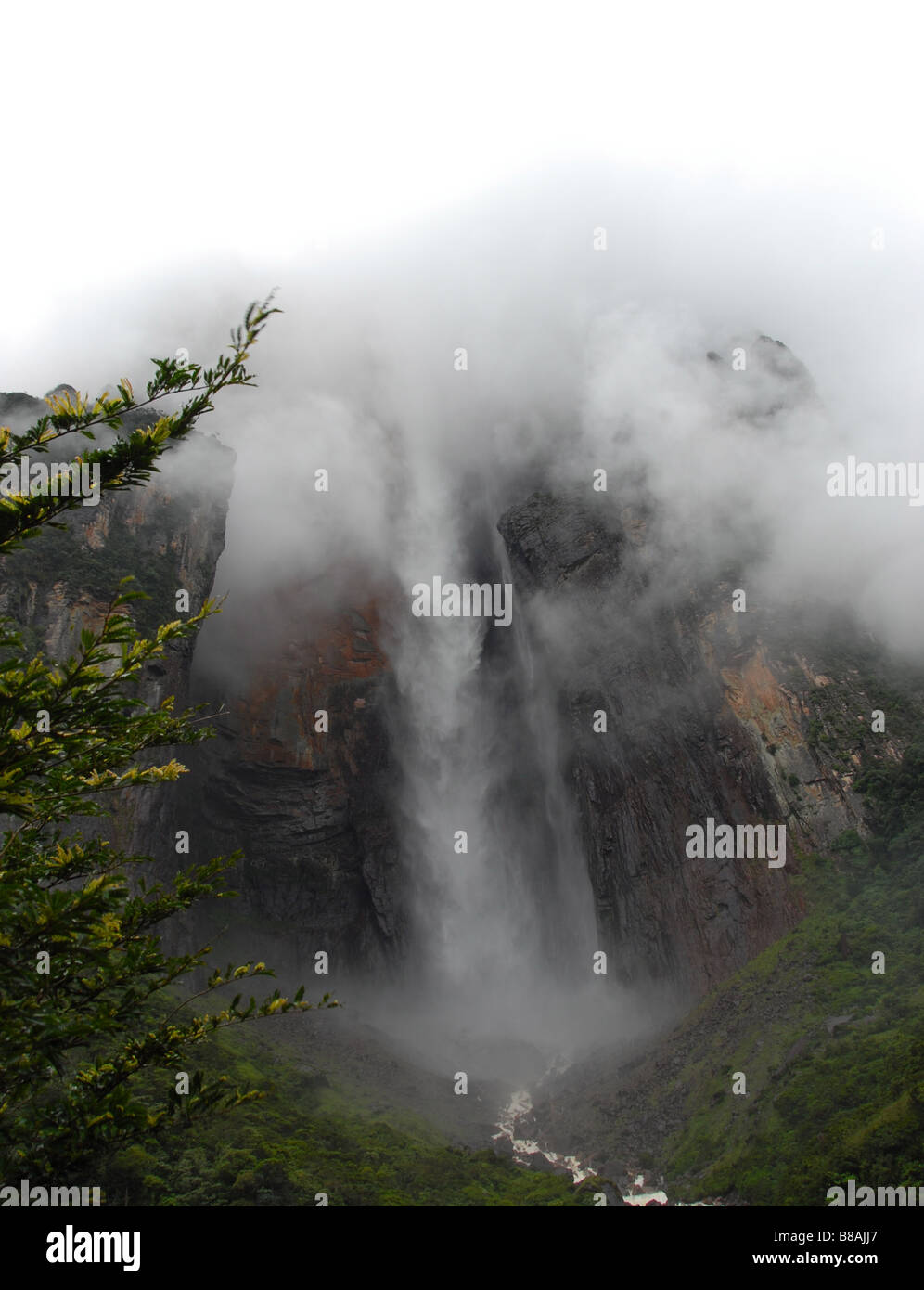 Angel Falls Venezuela Stock Photo - Alamy