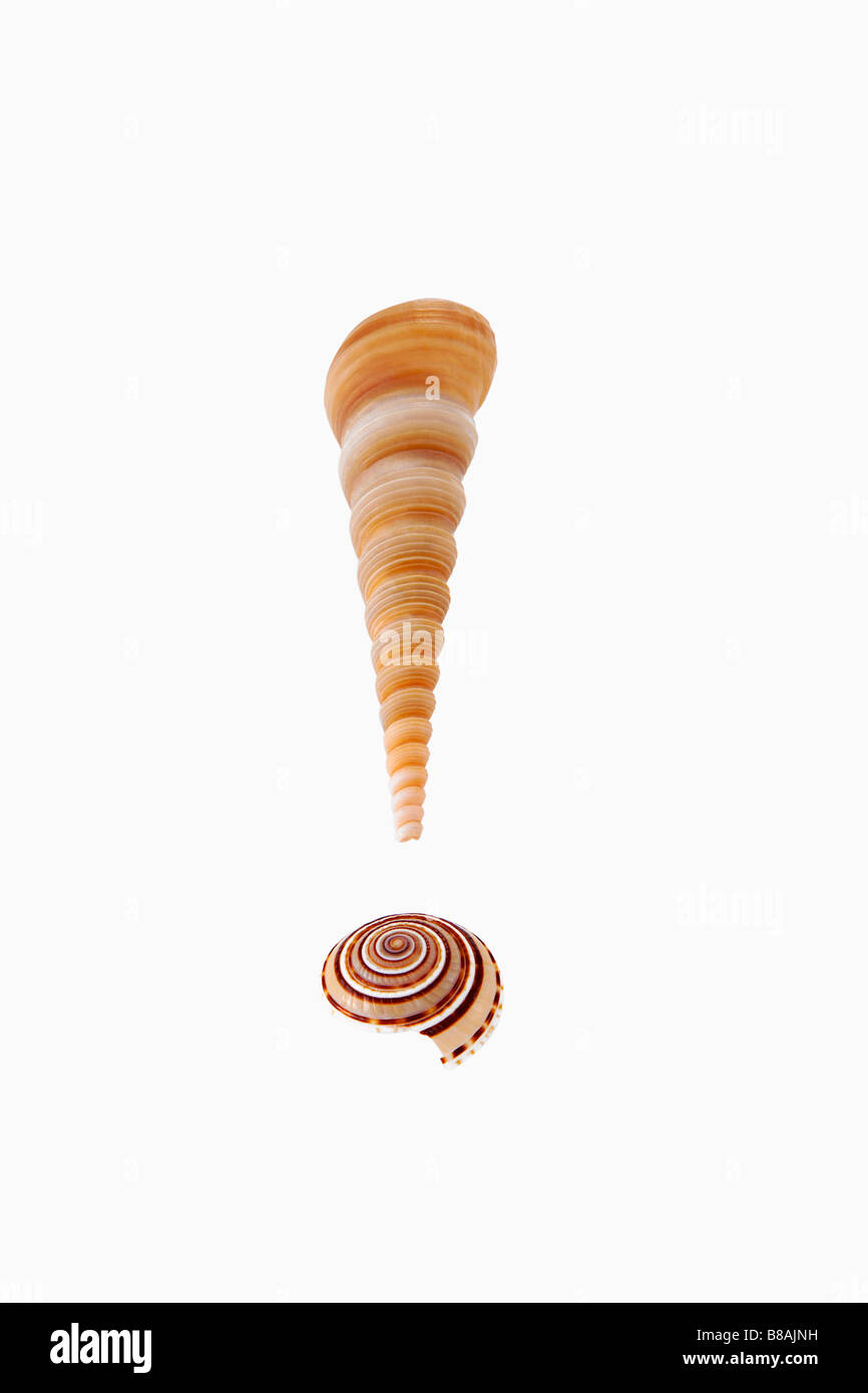 Shell point hi-res stock photography and images - Alamy