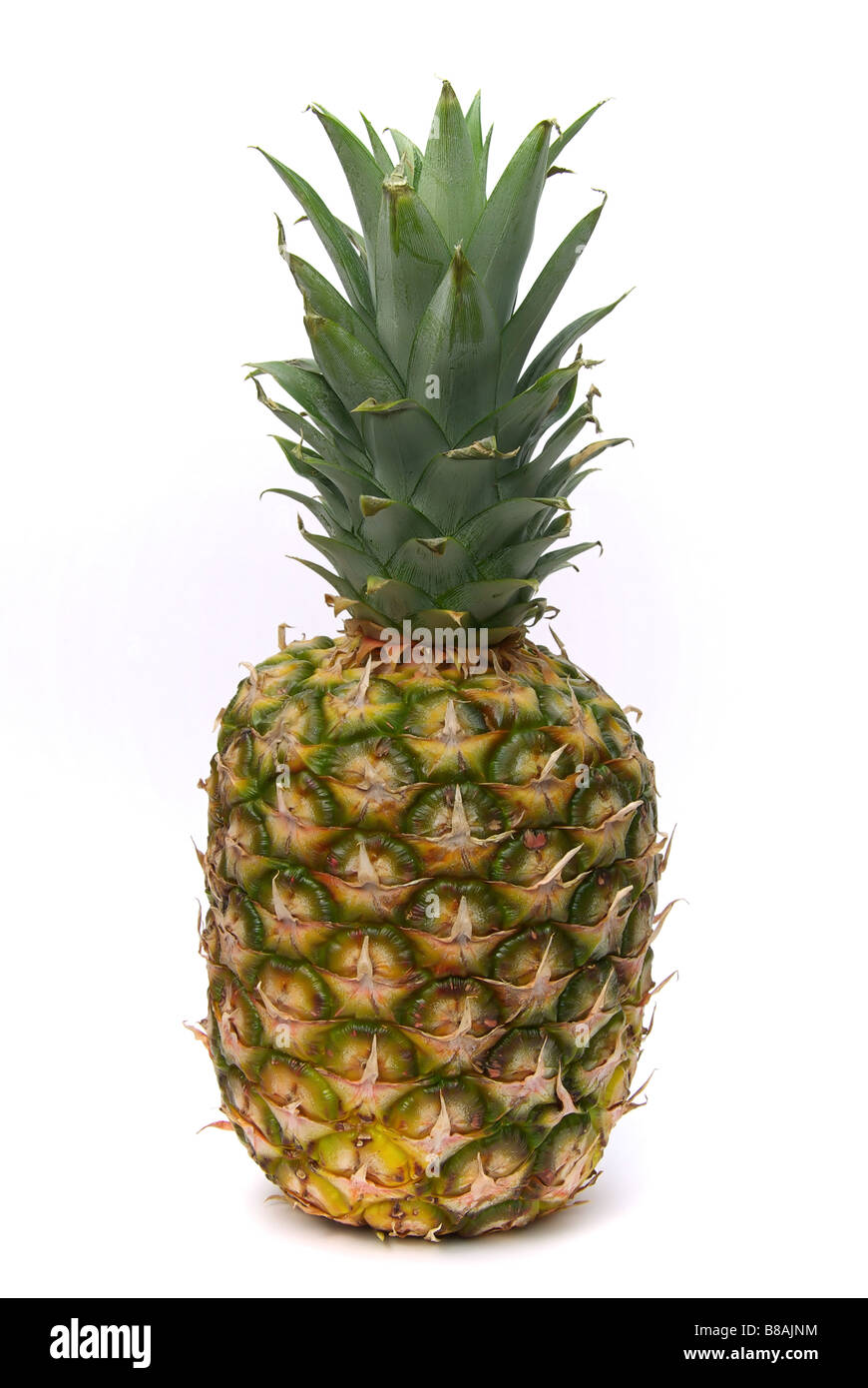 Ananas pineapple 04 hi-res stock photography and images - Alamy