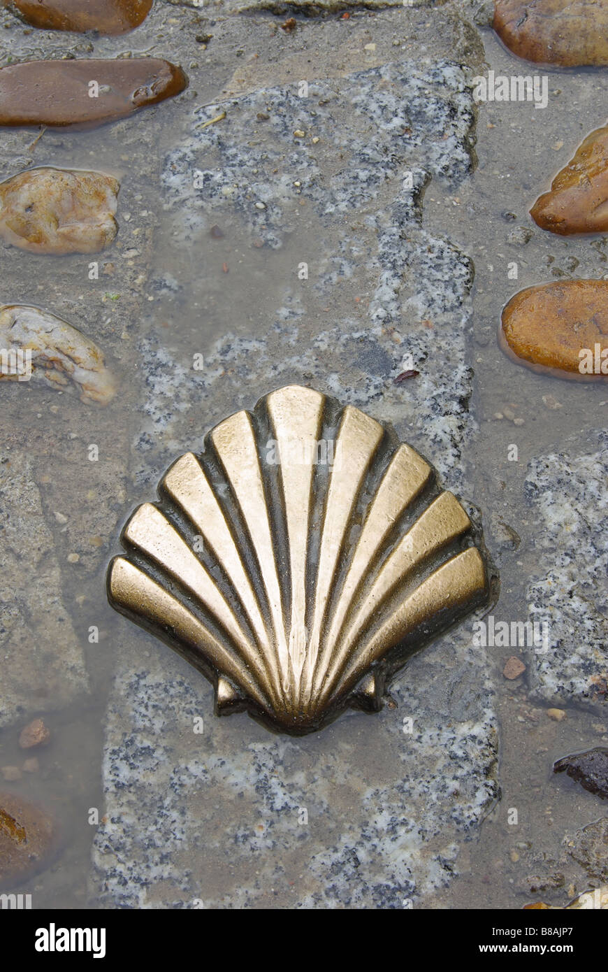 St james shell hi-res stock photography and images - Alamy