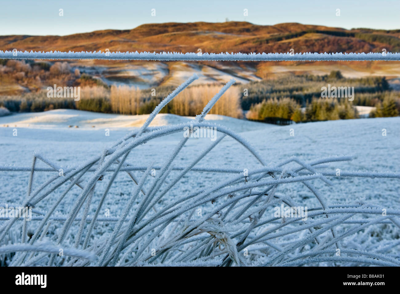 Clinging to the wire hi-res stock photography and images - Alamy
