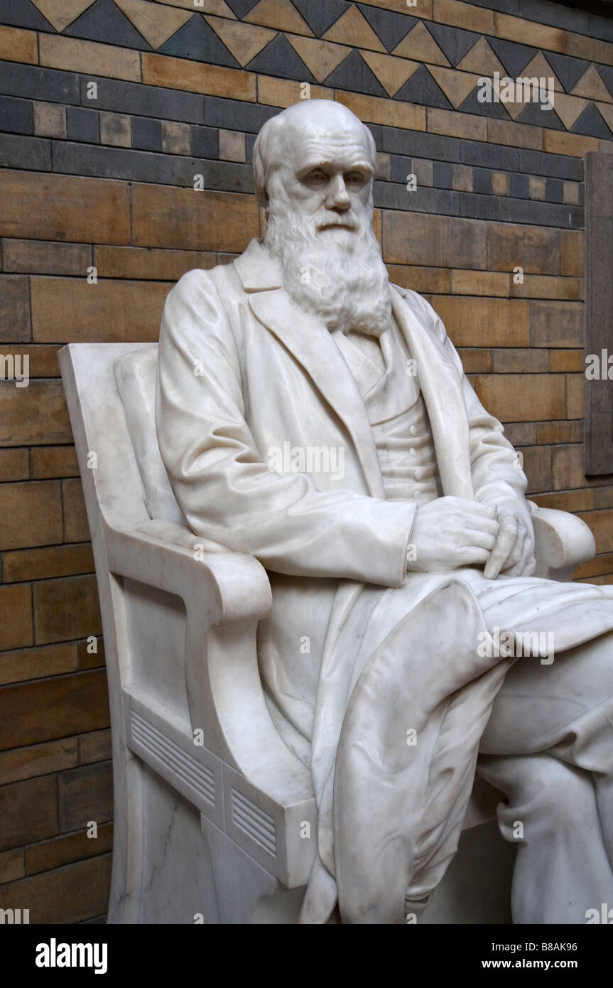 A marble statue of the great naturalist Charles Darwin at the Natural ...