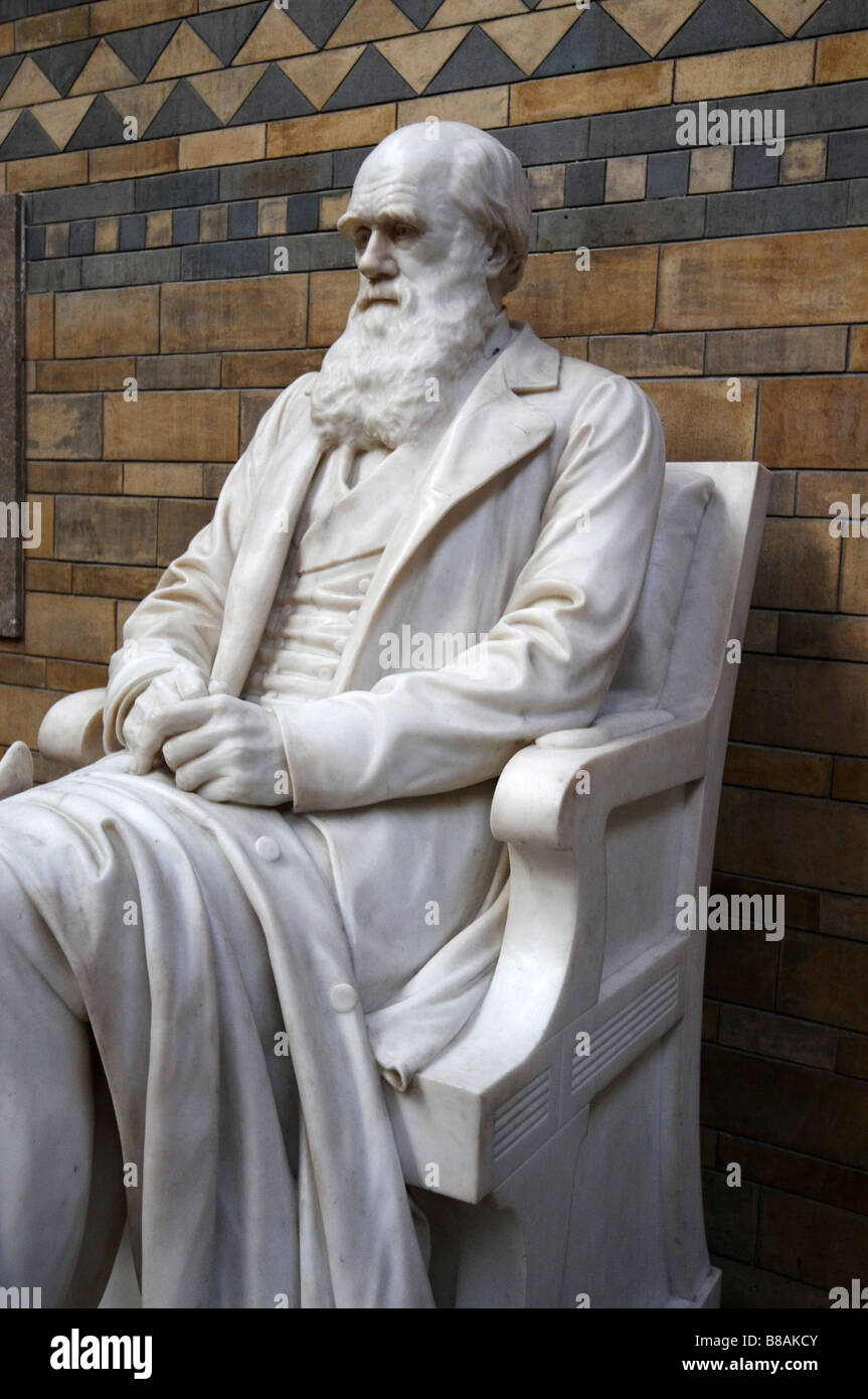 A marble statue of the great naturalist Charles Darwin at the Natural ...