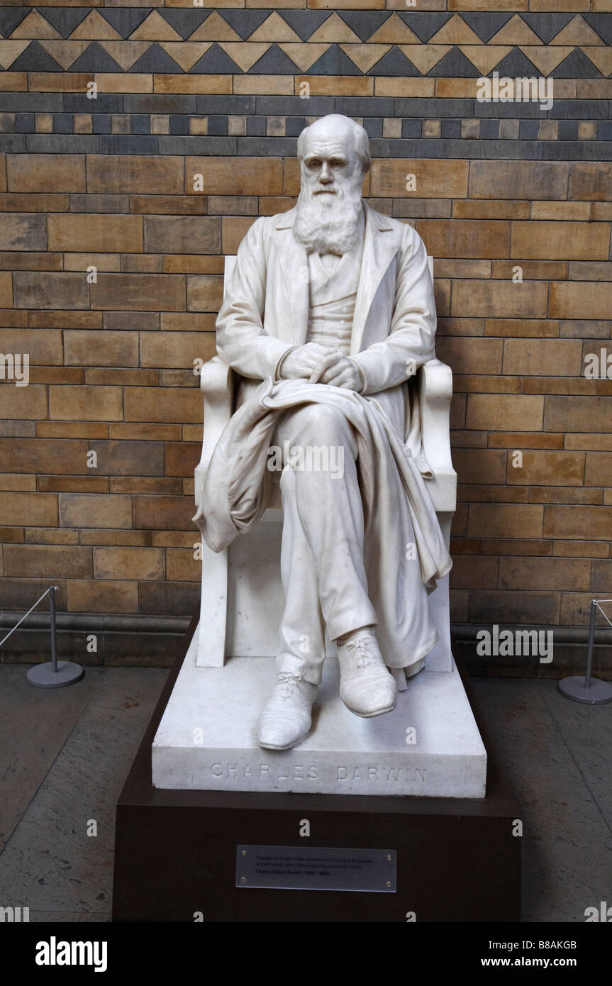 A marble statue of the great naturalist Charles Darwin at the Natural ...