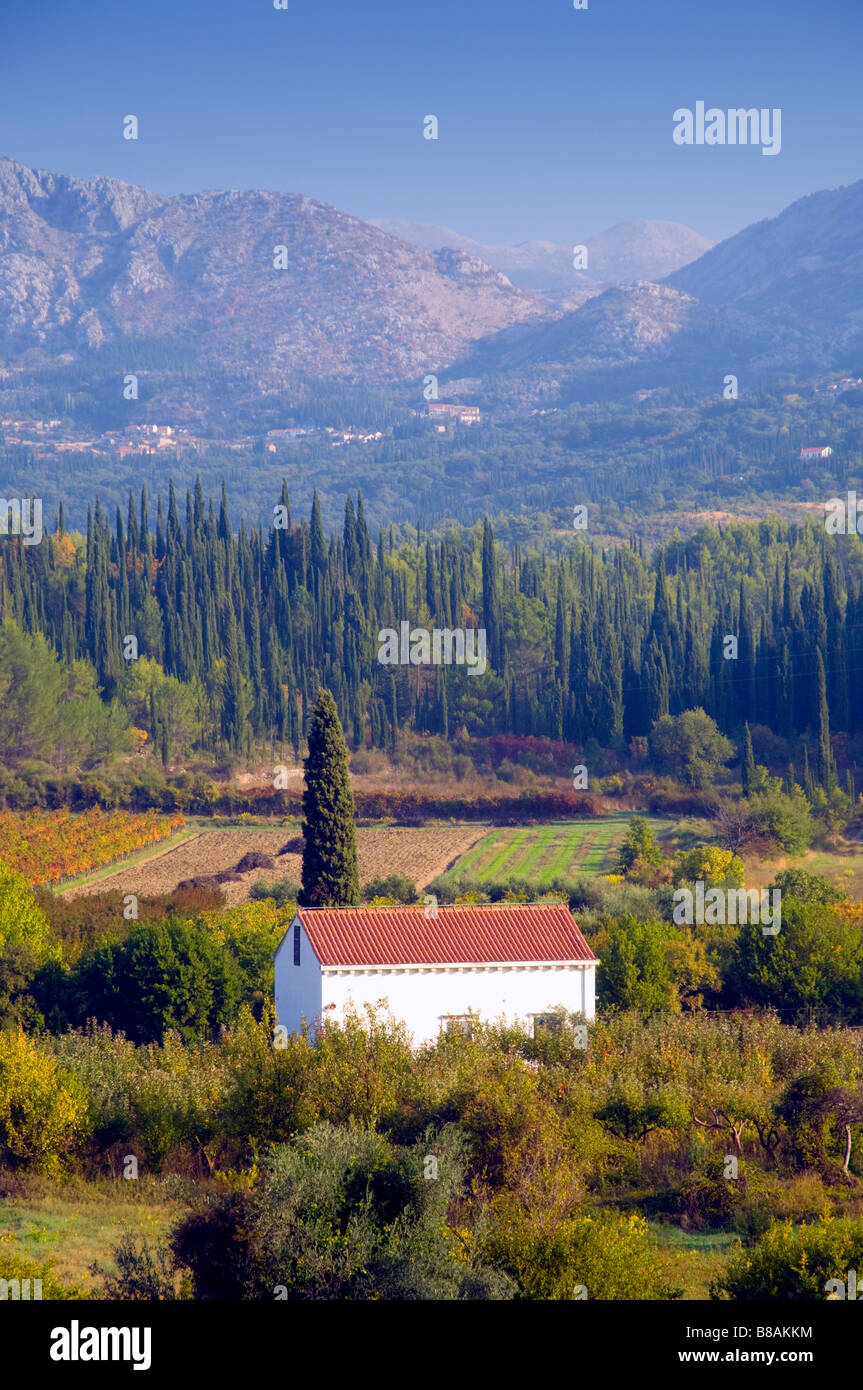 Montenegro kotor in autumn hi-res stock photography and images - Alamy