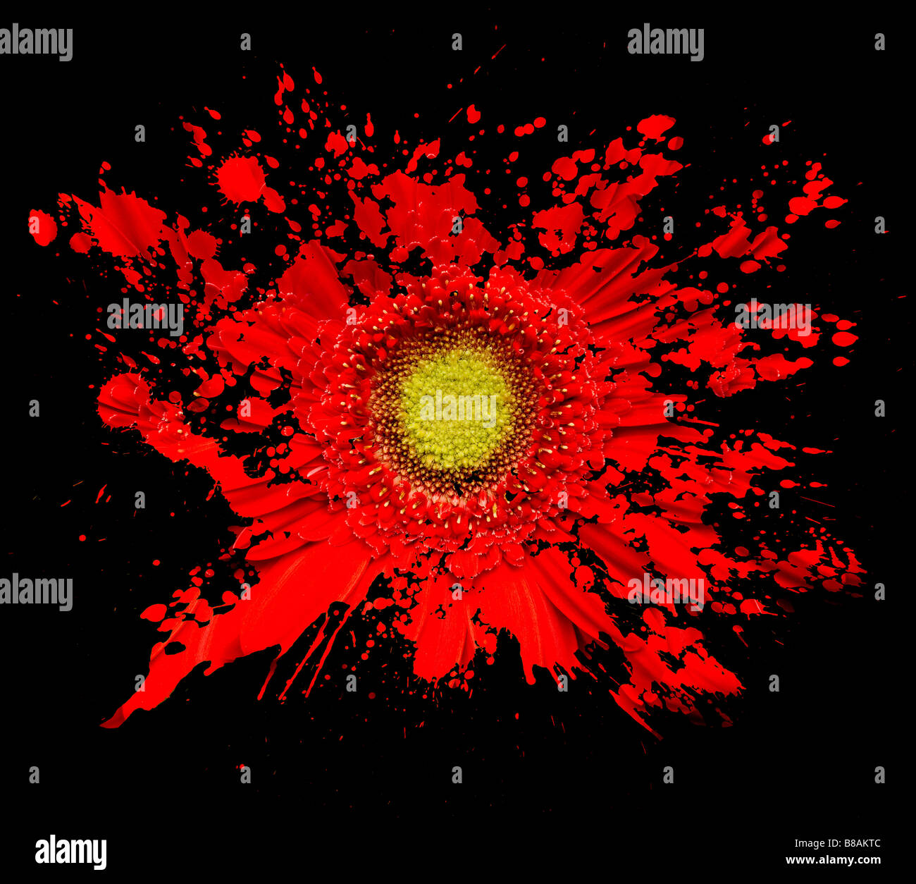 bright red splash Stock Photo - Alamy