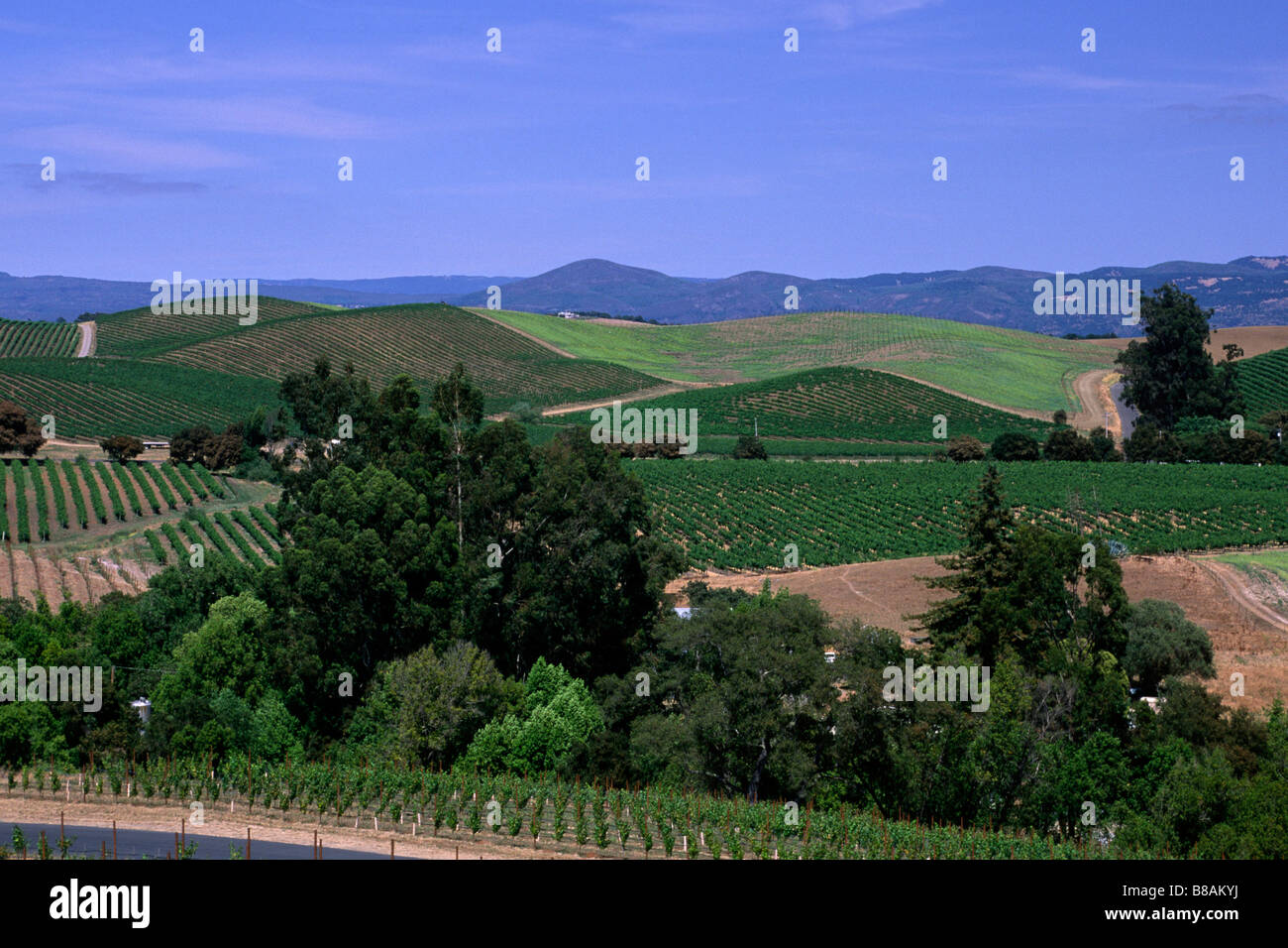 California napa valley landscapes hi-res stock photography and images ...