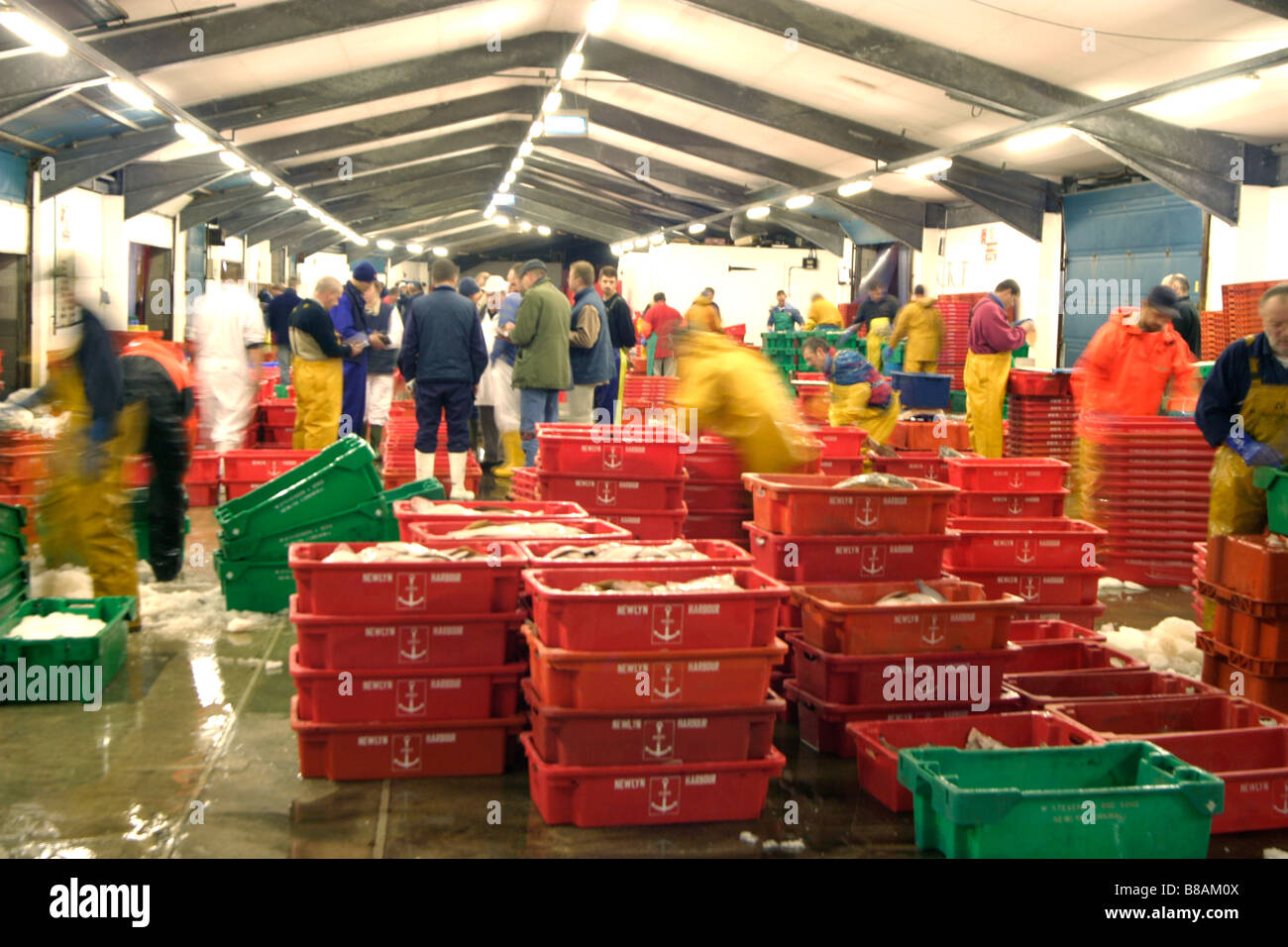Newlyn Fish Market High Resolution Stock Photography and Images - Alamy