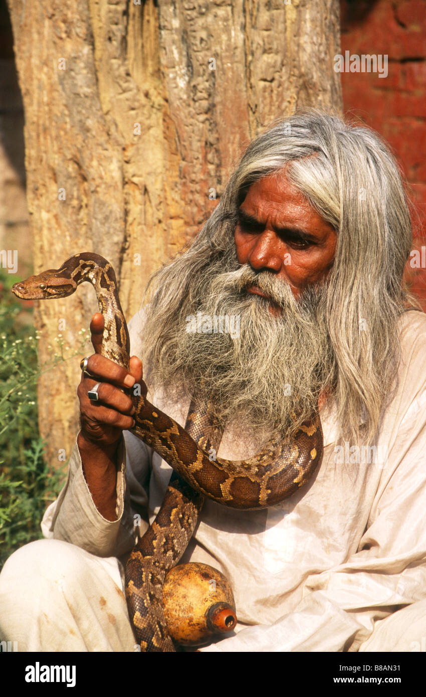 Snake charmer holding a snake in India Stock Photo - Alamy