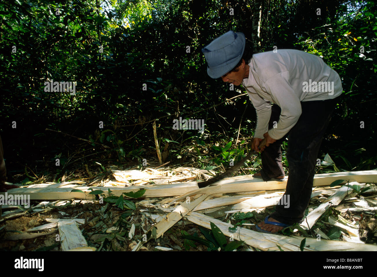 laos, luang nam tha province, lakham village, akha ethnic minority, a ...