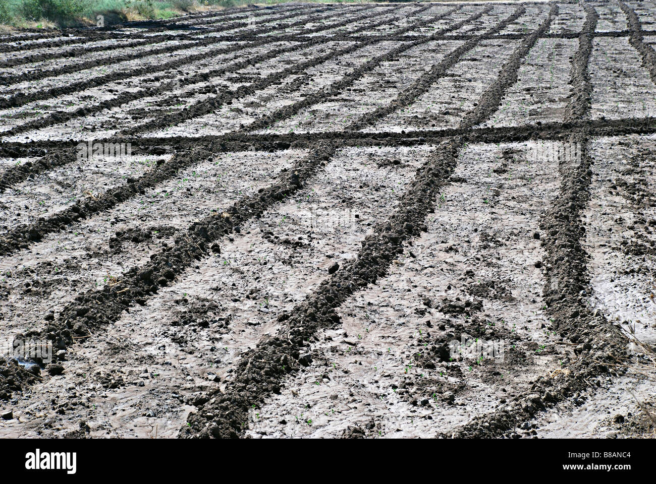 Ploughed farm land, Jejuri, Maharashtra, India Stock Photo - Alamy